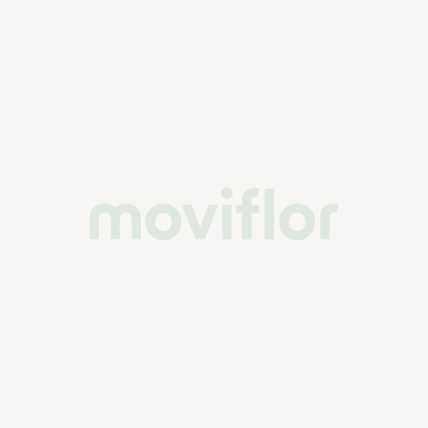 Cómoda Norsk 6 Gavetas - 04587-421 - Moviflor